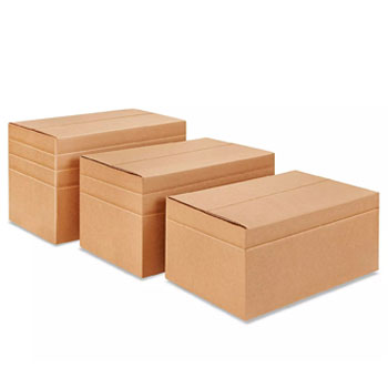 Sri Lanka's Premier Packaging Leader: PAL Packaging